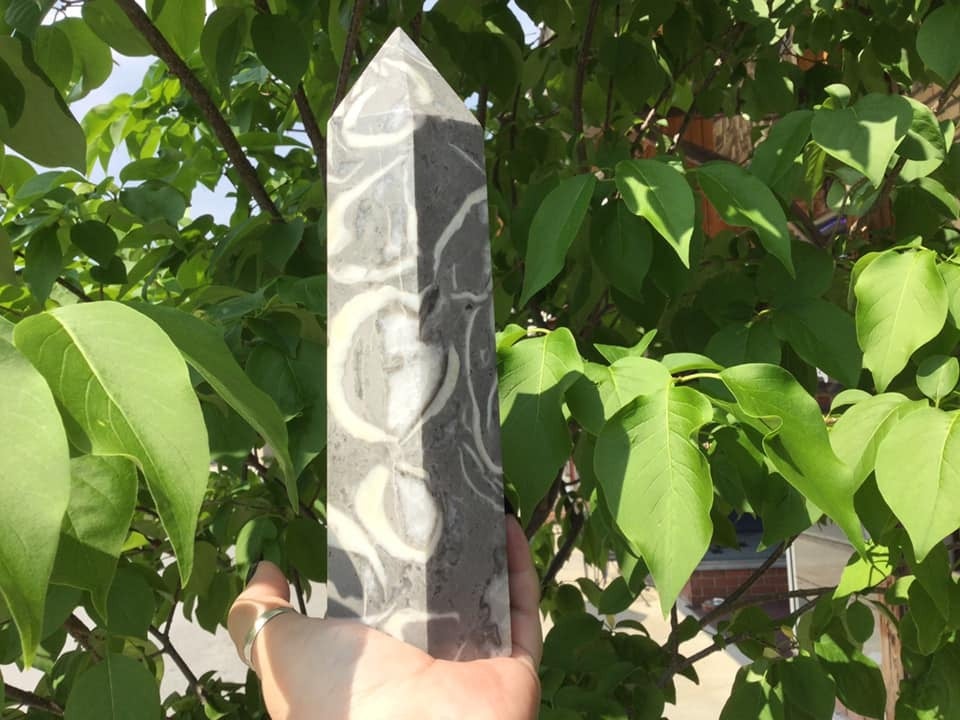 Shell jasper tower | Positive Practice Online